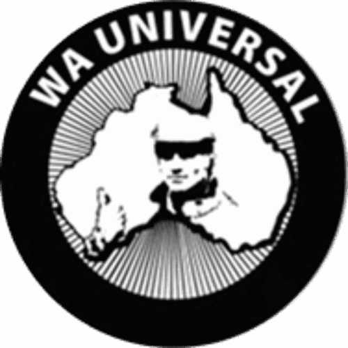 How to Choose the Right Crane Hire Service in Perth for Your ...